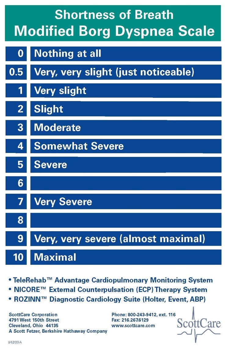 운동자각도(Borg Scale) 사용방법 : 네이버 블로그