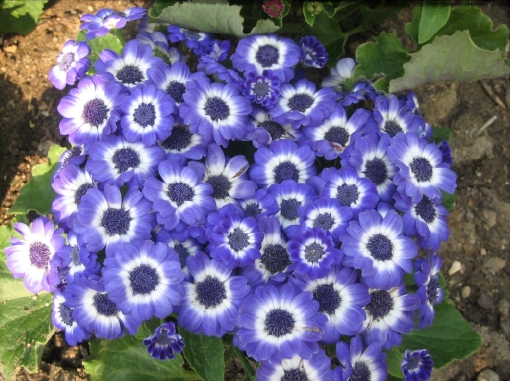 [좋은글]화날때 마음을 다스릴수 있는 좋은글들 : 네이버 블로그