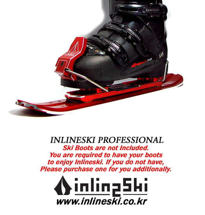 Inlineski... Skiboard..?? : 네이버 블로그