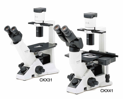 OLYMPUS INVERTED MICROSCOPE CKX31/CKX41 : 네이버 블로그