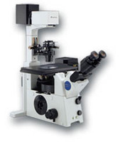 OLYMPUS IX71(올림푸스 연구용 도립현미경) : 네이버 블로그