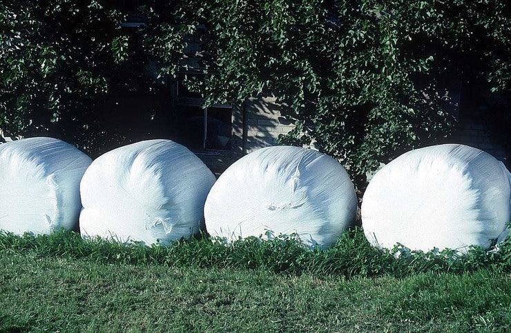 스타의 사랑 ! : 네이버 블로그