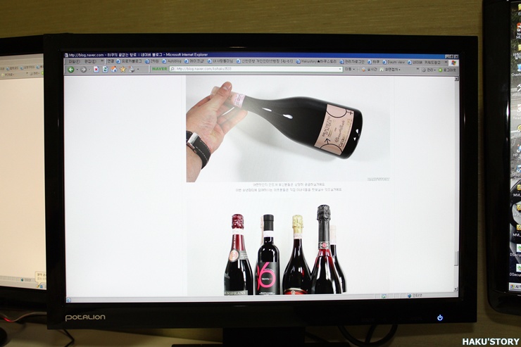 오리온 텔레콤 포탈리온(Potalion) OTD1904W 19인치 TFT-LCD 모니터 사용기. : 네이버 블로그