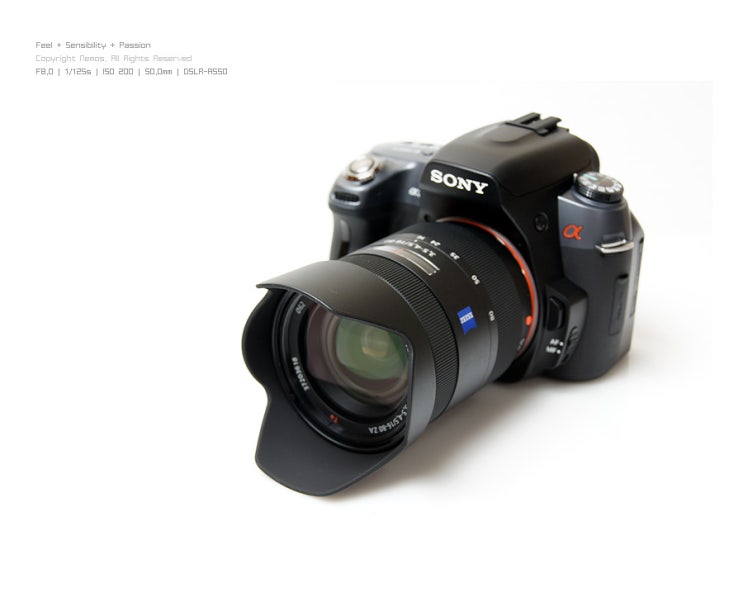 [DSLR 비교] Canon EOS 50D vs Canon EOS 500D vs Sony A550 vs Nikon D90 ...