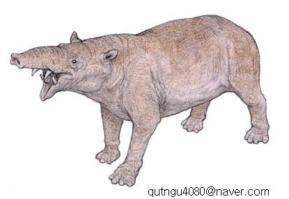 아스트라포테리움(Astrapotherium)-원시코끼리를 닮은 남미의 포유류- : 네이버 블로그