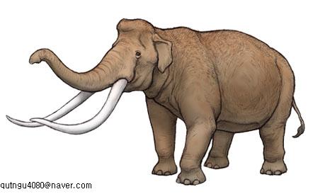 나우만 코끼리(Naumann's elephant)-일본의 매머드- : 네이버 블로그