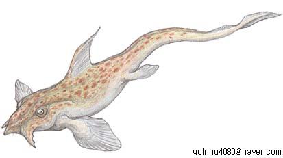 델톱티키우스(Deltoptychius)-초기 은상어- : 네이버 블로그