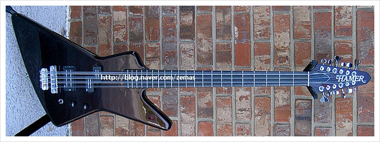 12 strings bass 12현베이스 : 네이버 블로그