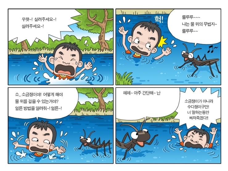 환경생태복원 뚝딱뚝딱 4컷만화 소금쟁이는 어떻게 물 위에 떠 있을 수 있을까요 네이버 블로그