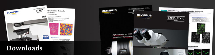 OLYMPUS MICROSCOPE CATALOG(Brochure)- 올림푸스 현미경 카다로그 다운로드 : 네이버 블로그