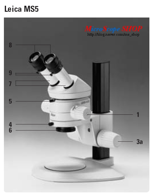 [LEICA] Stereo Mmicroscopes MS5 현미경 명칭 : 네이버 블로그