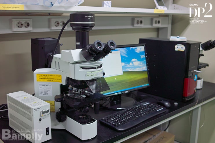 OLYMPUS BX51 Research Upright Microscope : 네이버 블로그