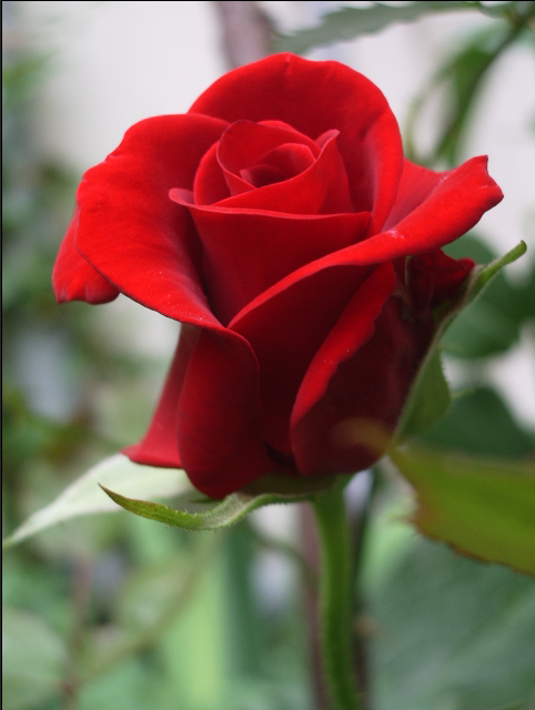 [좋은글]삶이힘들때 읽으면 도움이 되는 좋은글들 : 네이버 블로그