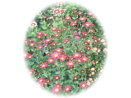 조엘오스틴 『잘 되는 나』중에서 : 네이버 블로그