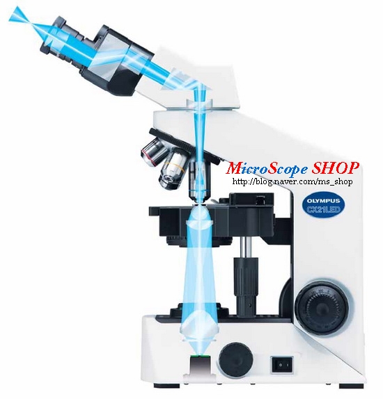 OLYMPUS CX21 LED 광학경로 : 네이버 블로그