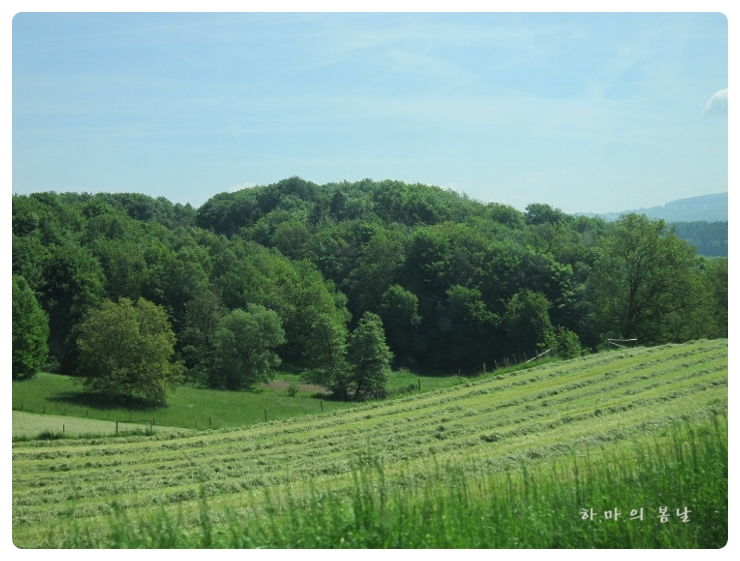 오랜만에, : 네이버 블로그