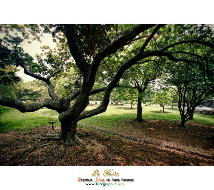 Vertigo green : 네이버 블로그