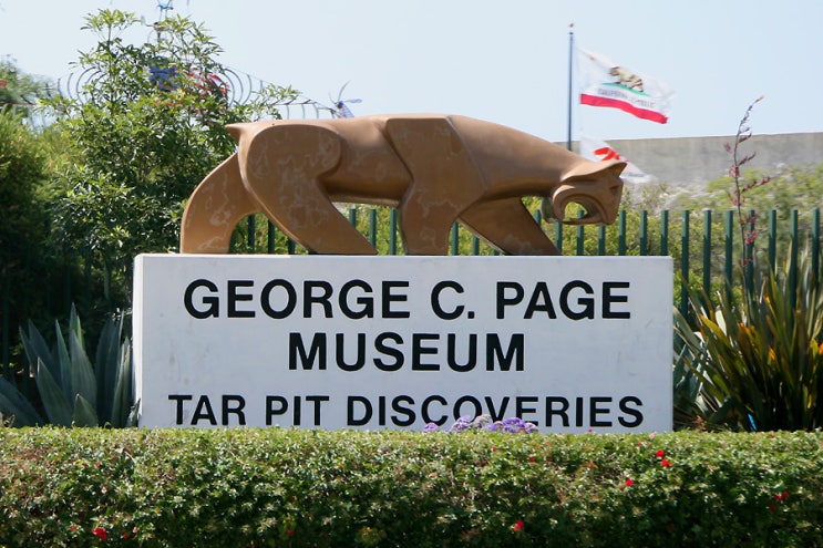 죽음의 기름구덩이(Tar Pit) 위에 세워진 화석박물관인 페이지뮤지엄(George C. Page Museum) : 네이버 블로그