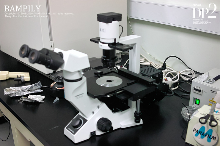 OLYMPUS CKX41 : 네이버 블로그