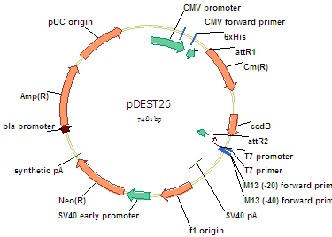 Gateway Destination vector의 특징 및 구조 : 네이버 블로그