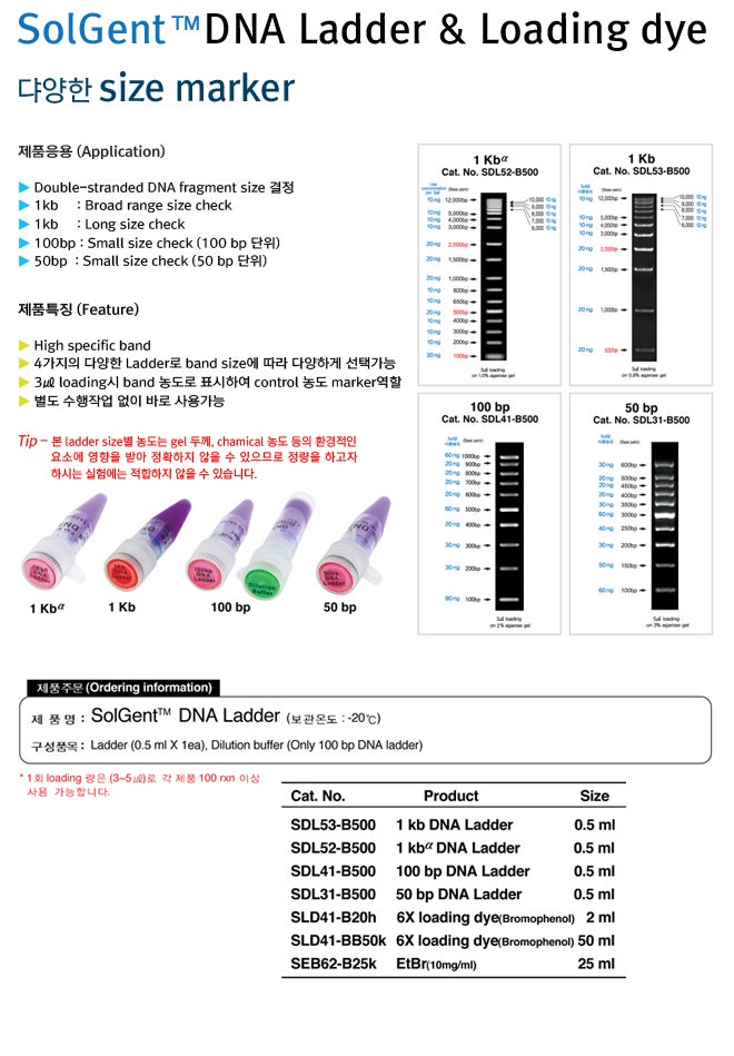 SolGent™ DNA Ladder & Loading dye : 네이버 블로그
