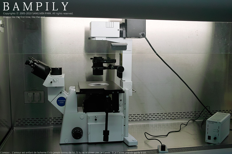 OLYMPUS IX51 : 네이버 블로그