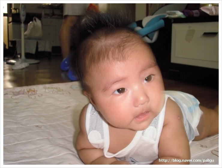 뒤집기.. : 네이버 블로그