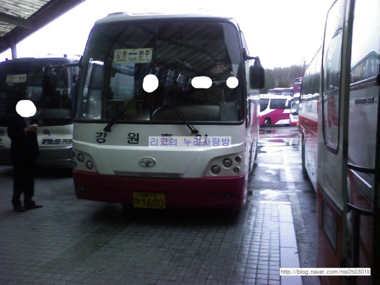 강원흥업 BH119H ROYAL SPECIAL2 : 네이버 블로그