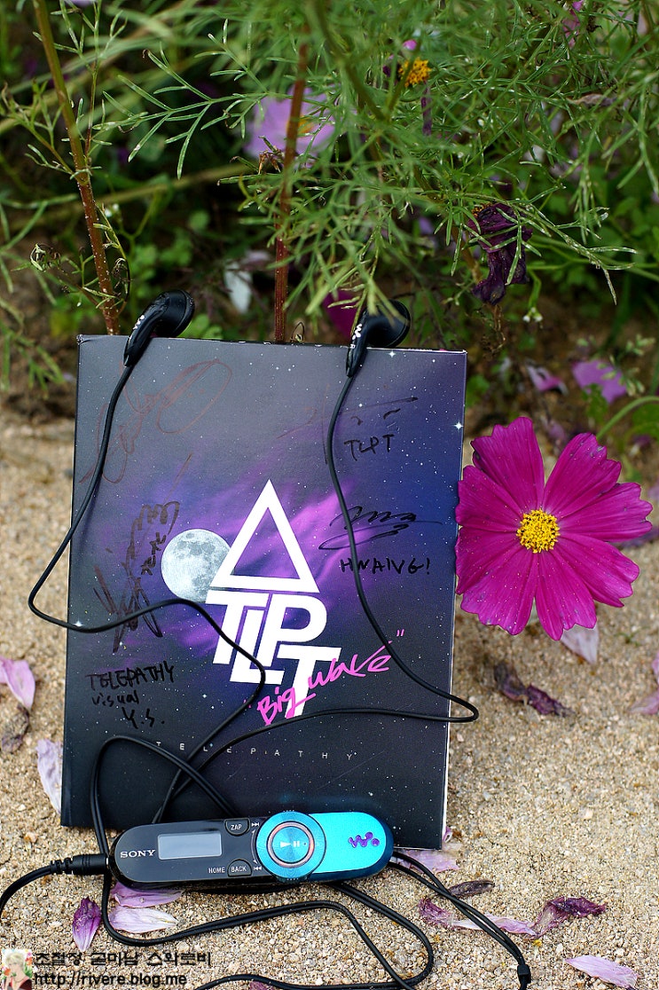 [블로그DJ]텔레파시(Telepathy) 2집 Big wave 리뷰! : 네이버 블로그