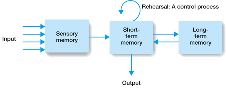 Cognitive Psychology(인지심리학) 5장: Short Term Memory and Working Memory 정리 ...