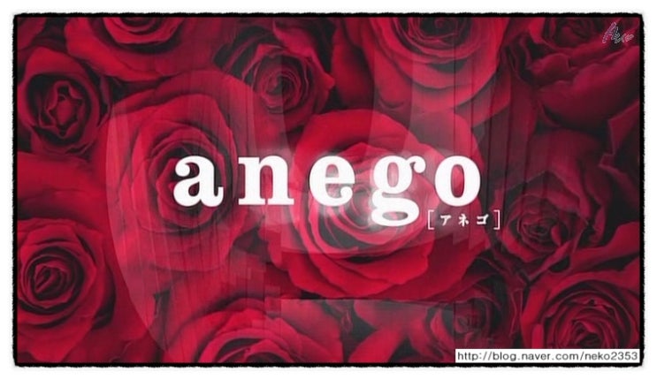 누님 아네고,아네고 : 네이버 블로그