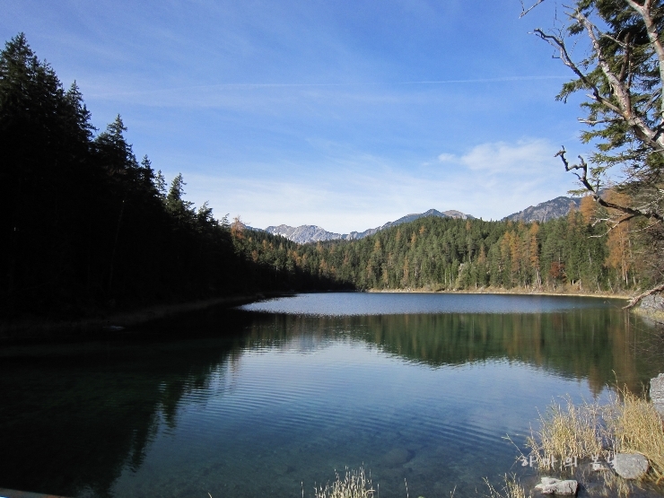 [Garmisch-Partenkirchen][Zugspitze] 고요한 아입제(Eibsee)에서는 오리가 반겨주는구나 ...
