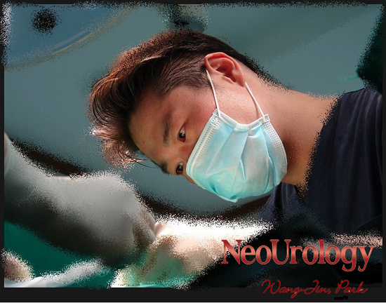 음경확대수술(가상시뮬레이션 시스템) 음경확대 성형 : 네이버 블로그