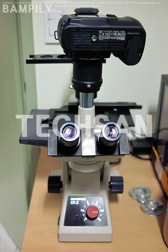 OLYMPUS CK2 Inverted microscope(올림푸스 CK2 세포배양용 현미경) : 네이버 블로그