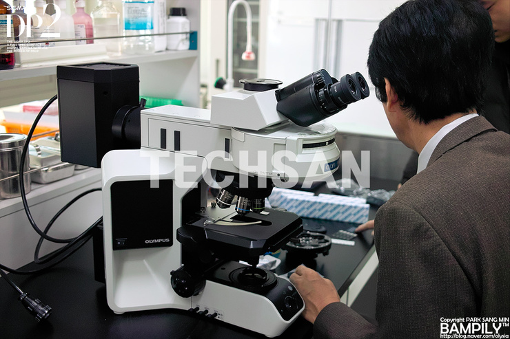 OLYMPUS BX53 Research Microscope & DP72 & cellSens : 네이버 블로그