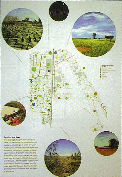 트리시티 : Tree City : 네이버 블로그