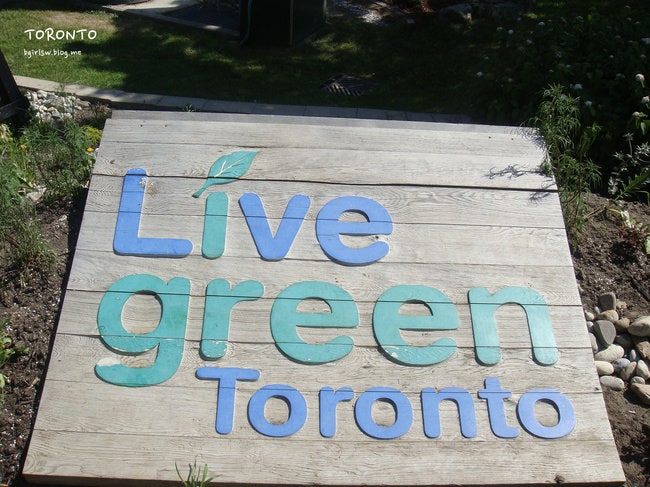 [캐나다여행 / 토론토] Live Green! Toronto ★ : 네이버 블로그