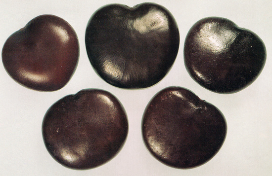 엔타다 기가스 - 콩 중의 콩. : 네이버 블로그