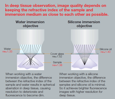 OLYMPUS Silicone Immersion Oil (SIL300CS-30CC, 올림푸스 실리콘 이머젼 오일) : 네이버 블로그