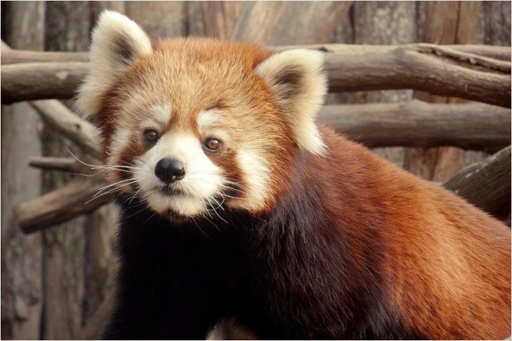 아직은 추워요... PL210 : 네이버 블로그