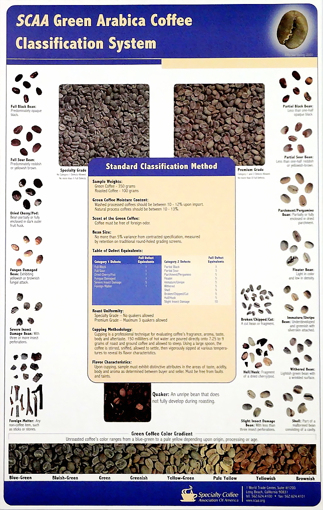 SCAA Arabica Green Coffee Defect (SCAA 기준 결점두) : 네이버 블로그