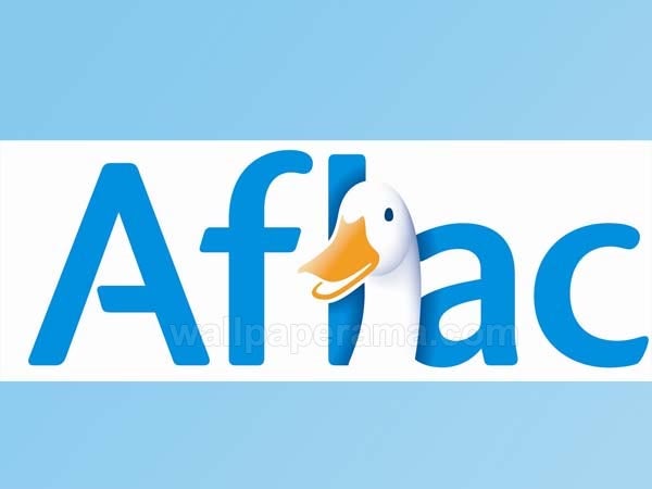 Aflac Duck, 새로운 주인을 만나다. : 네이버 블로그