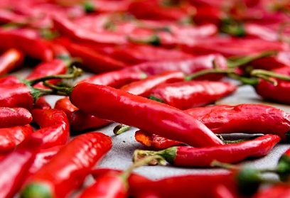 고추추출물(Capsicum Annuum Fruit Extract) : 네이버 블로그