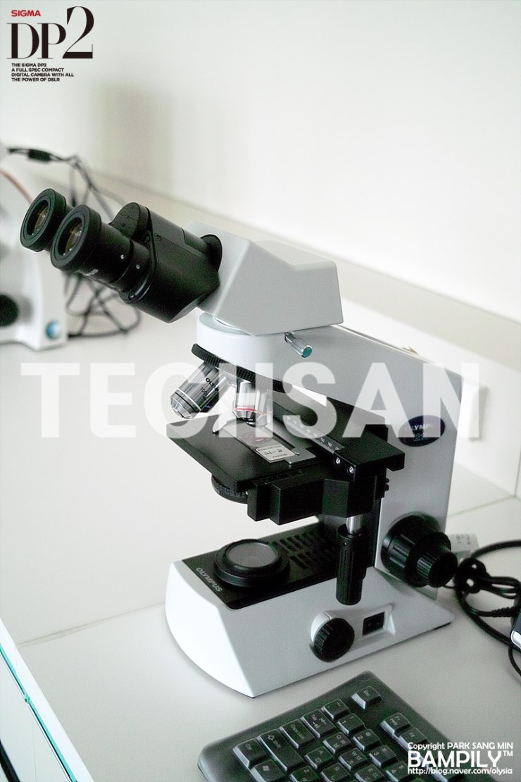 OLYMPUS CX21LED : 네이버 블로그