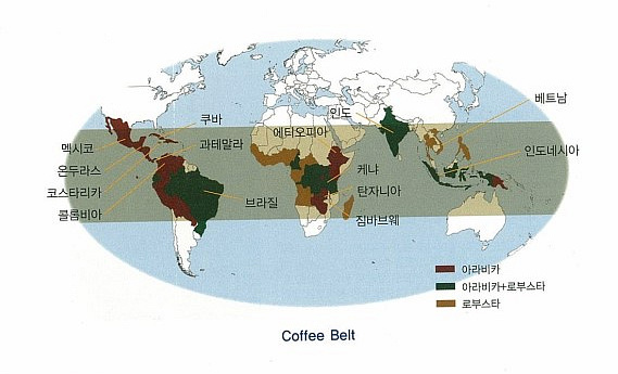 커피벨트(Coffee belt)-커피 생산지 : 네이버 블로그
