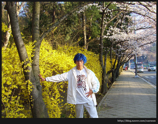 [재원과의 대화 3] 나는 재원 (xaewon) 과 현재 얼마나 친한가 ? [재원 친밀도 테스트] : 네이버 블로그