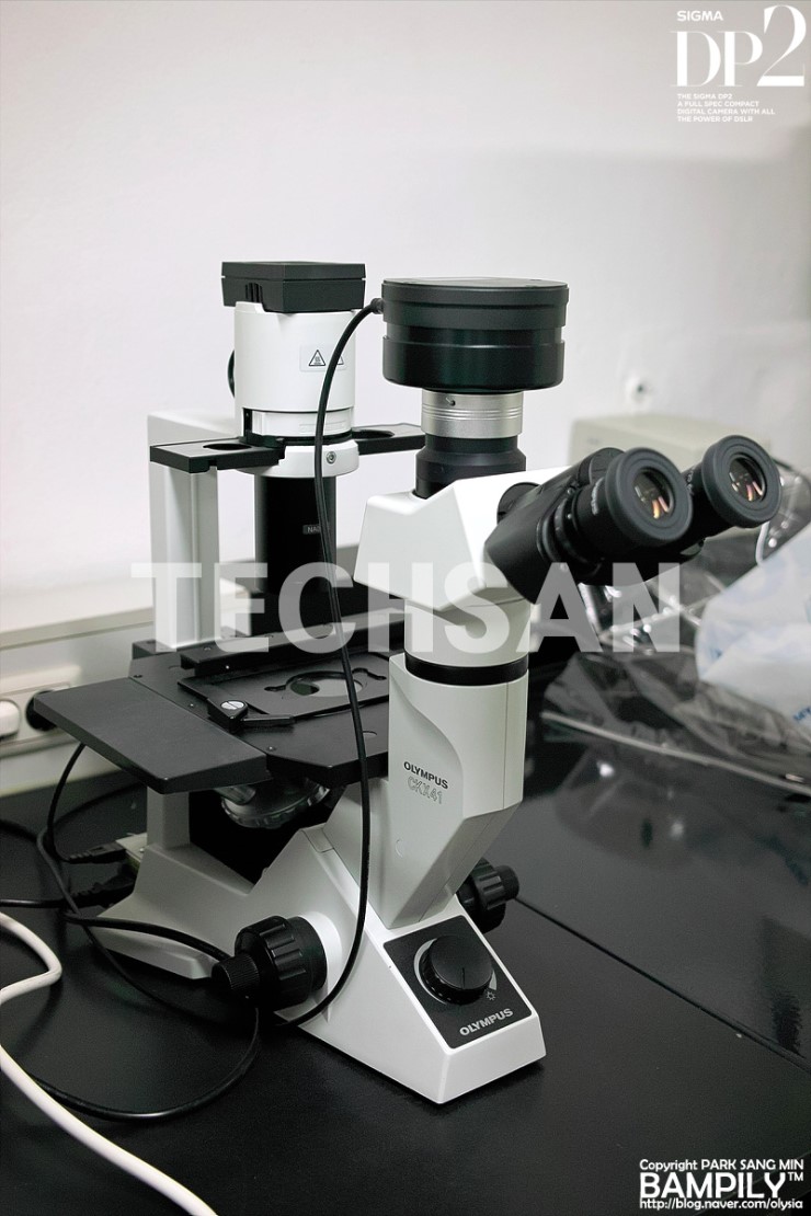 OLYMPUS CKX41 : 네이버 블로그