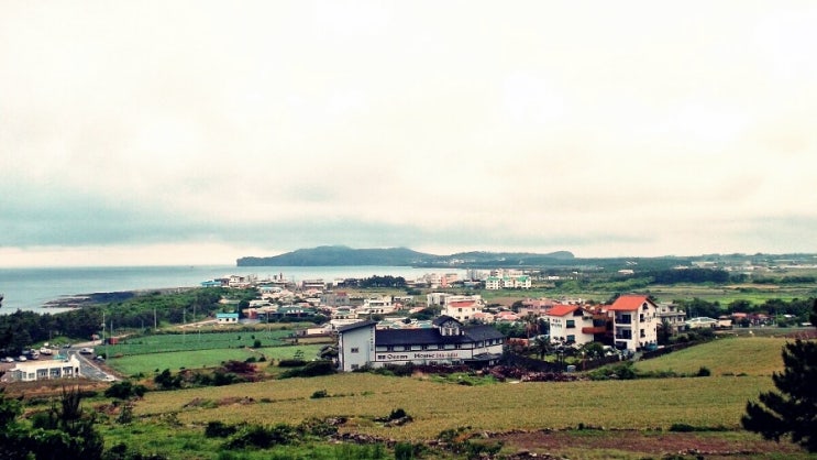 제주의 아름다운 마을, 사계리동동을 아시나요? : 네이버 블로그