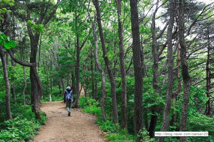 청양 칠갑산 등산코스칠갑칠로 산장로칠갑산장칠갑산천문대칠갑산스타파크 네이버 블로그