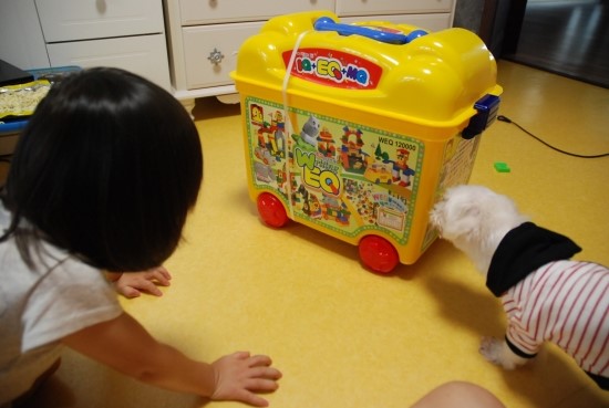 [개봉기] 옥스포드WEQ블록 : 네이버 블로그